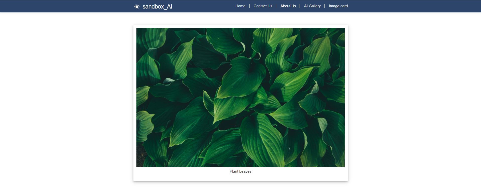 How To Apply Custom Styles In Power Pages?